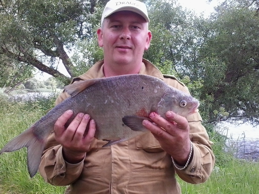 Carp bream, 4lb 10oz , cought at 06/13/2014 - information about the ...