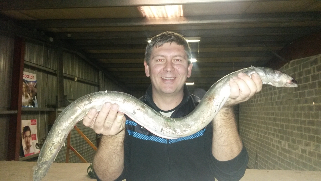 European eel, 7lb 11oz , cought at 12/08/2013 - information about the ...