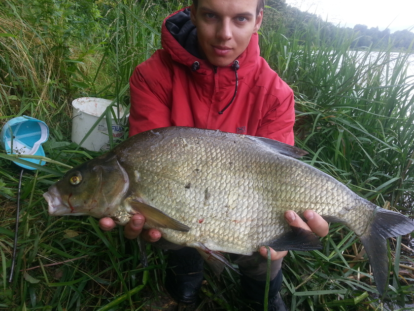 Carp bream - information about the catch | Pinfishing.com