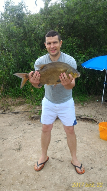 Carp bream , cought at 06/21/2017 - information about the catch ...