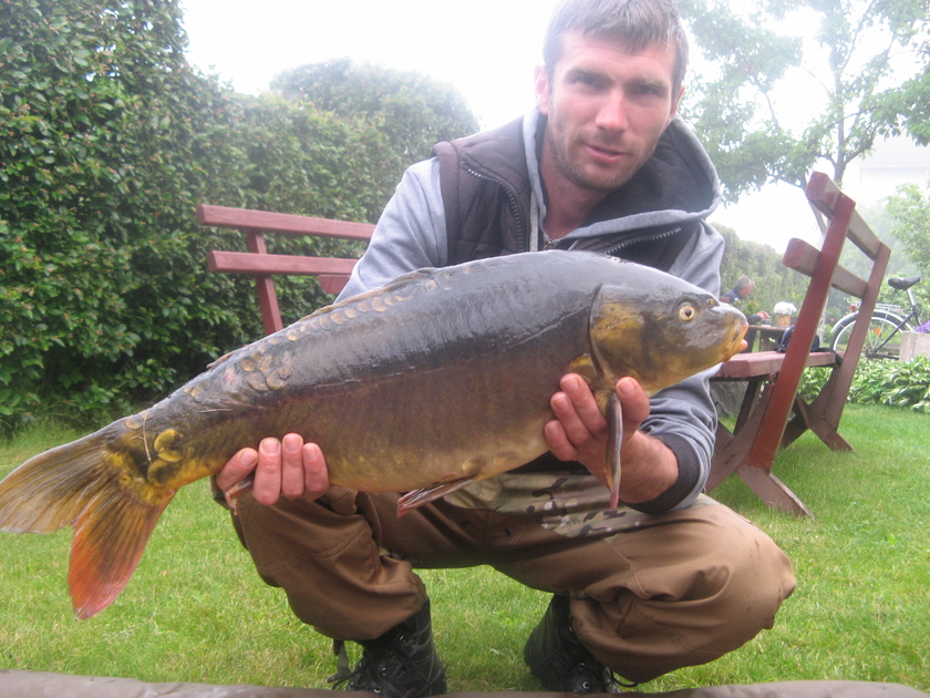 Mirror carp, 17lb 1oz, 2ft 6(1/2)in , cought at 06/12/2017 ...