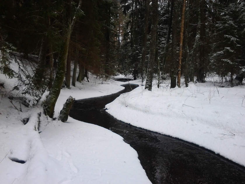 Margasis upėtakis , cought at 02/09/2013 - information about the catch ...