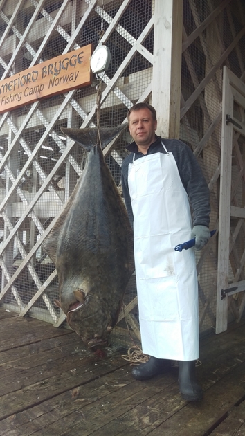 Atlantic halibut, 127lb 13oz, 5ft 3in , cought at 06/02/2017 ...