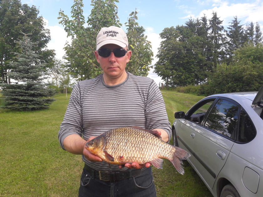 Prussian carp, 4lb 3oz, 1ft 4(1/2)in , cought at 07/15/2017 ...