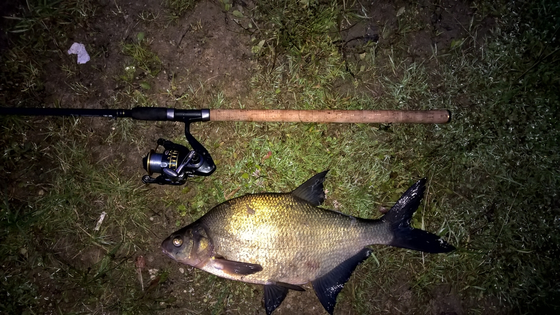 Carp bream, 3lb 8oz , cought at 07/15/2017 - information about the ...