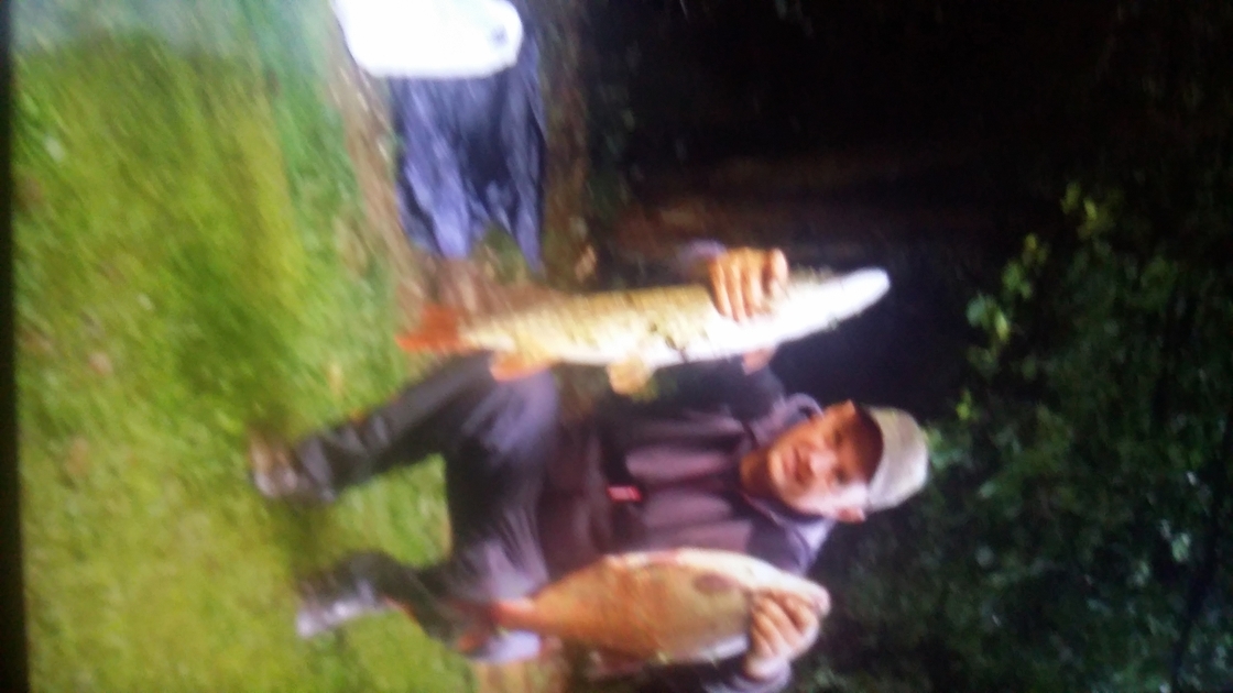 Northern Pike, 4lb 10oz , cought at 09/03/2018 - information about the ...