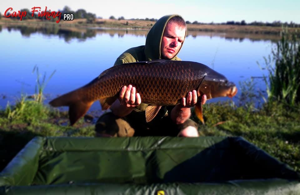 Carp, 27lb 12oz , cought at 08/26/2019 - information about the catch ...