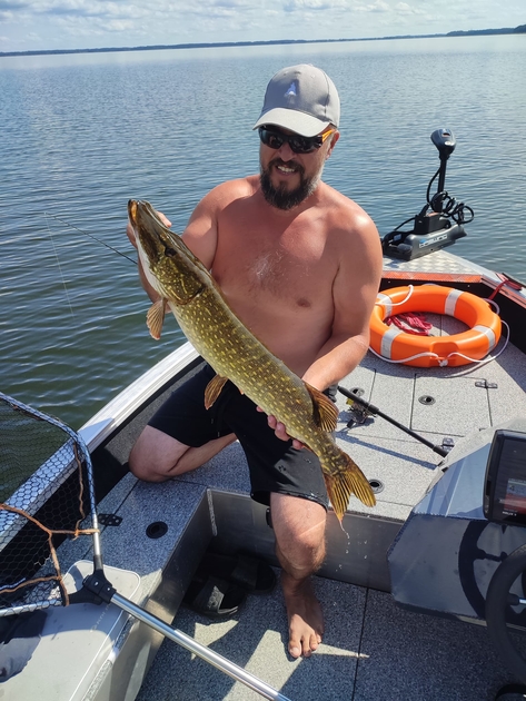 Northern Pike, 6lb 6oz , cought at 09/08/2024 - information about the ...
