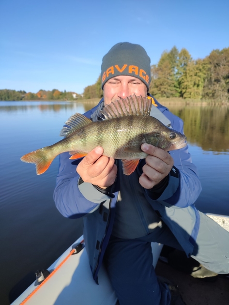 Eurasian perch, 1lb 5oz , cought at 10/14/2024 - information about the ...