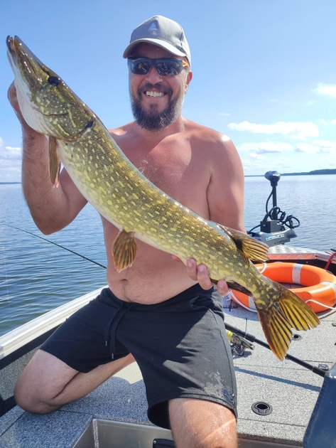Northern Pike, 7lb 11oz , cought at 08/27/2024 - information about the ...