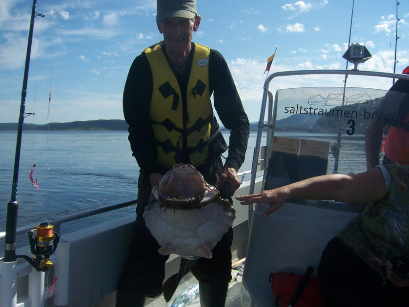 angler, 23lb 5oz , cought at 07/25/2013 - information about the catch ...