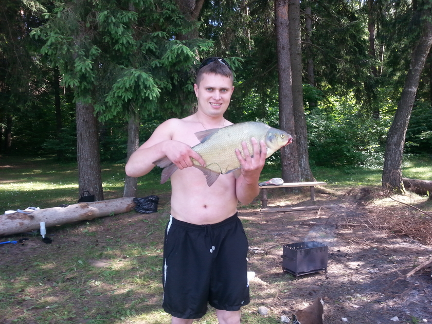 Carp bream, 3lb 15oz , cought at 06/15/2013 - information about the ...