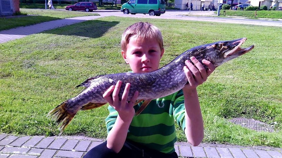 Northern Pike, 4lb 13oz, 2ft 4(1/2)in , cought at 06/27/2014 ...