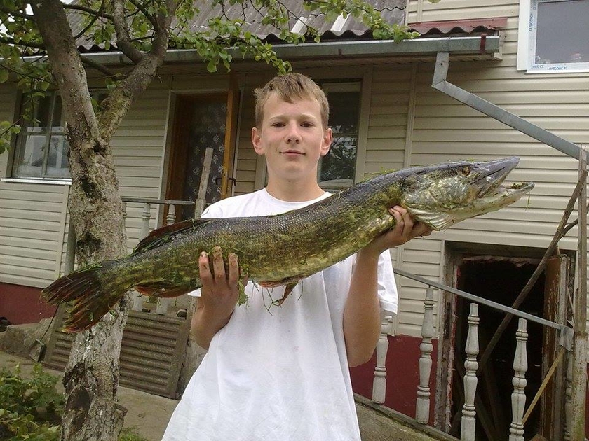 Northern Pike, 12lb 9oz - information about the catch | Pinfishing.com