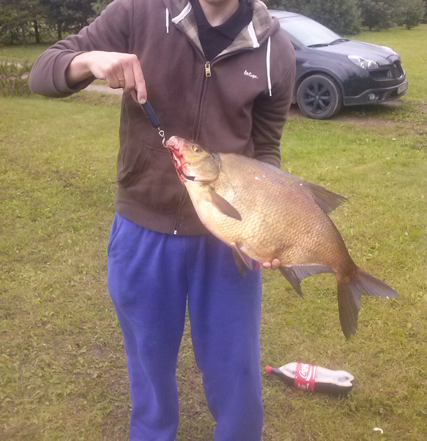 Carp bream, 8lb 7oz, 2ft 1(1/2)in , cought at 06/22/2014 - information ...