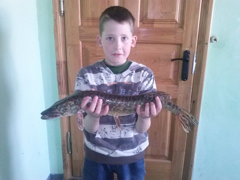 Northern Pike, 4lb 10oz, 3ft 7(1/2)in , cought at 04/15/2014 ...