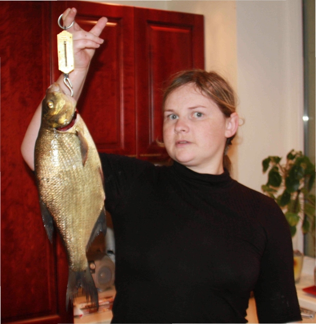 Carp bream, 3lb 4oz - information about the catch | Pinfishing.com