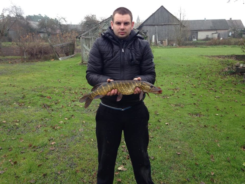 Northern Pike, 4lb 3oz , cought at 11/26/2014 - information about the ...