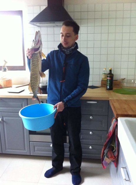 Northern Pike, 4lb 6oz, 2ft 1in , cought at 05/03/2015 - information ...