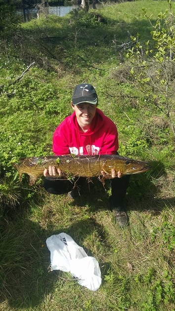 Northern Pike, 13lb 10oz - information about the catch | Pinfishing.com