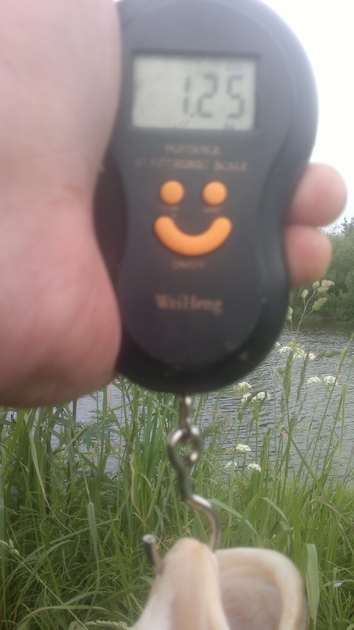 chub, 2lb 12oz , cought at 06/14/2015 - information about the catch ...