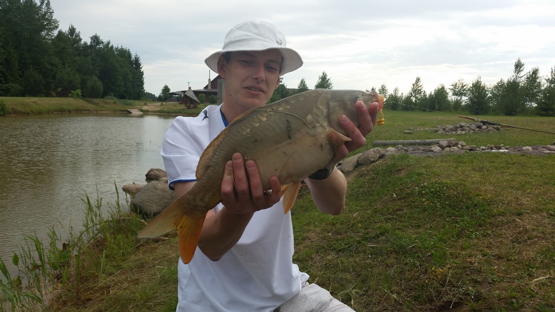Carp , cought at 06/18/2015 - information about the catch | Pinfishing.com