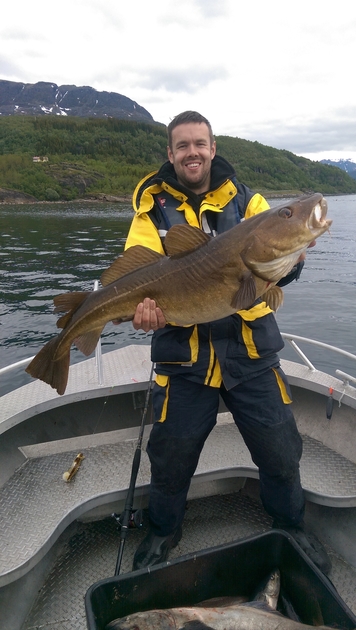 Atlantic cod, 24lb 4oz , cought at 06/27/2015 - information about the ...