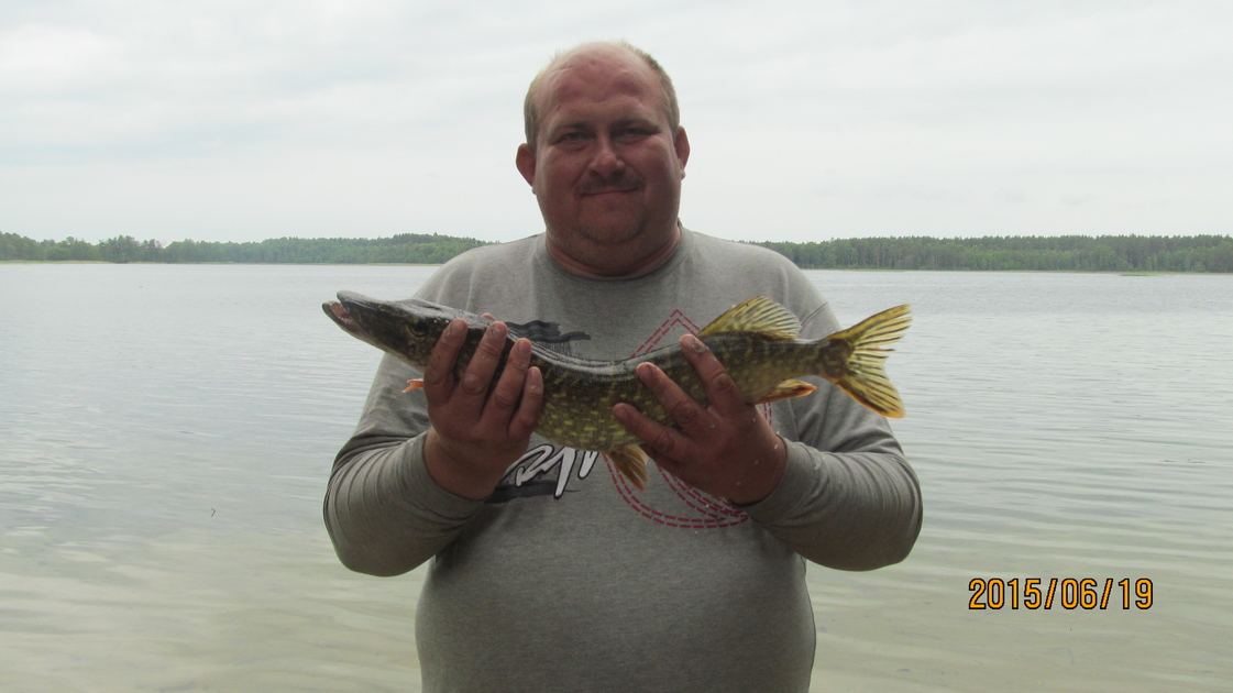 Northern Pike, 4lb 6oz, 1ft 10(1/2)in , cought at 06/19/2015 ...