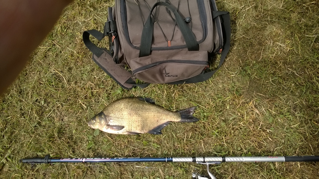 Carp bream, 3lb 4oz, 1ft 2in , cought at 06/27/2015 - information about ...