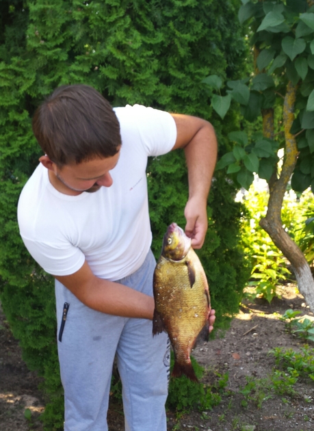 Carp bream, 3lb 6oz , cought at 07/05/2015 - information about the ...