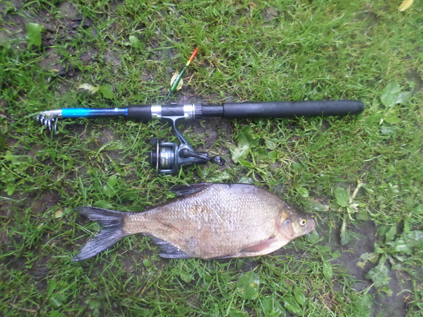 Carp bream, 3lb 8oz , cought at 07/15/2015 - information about the ...