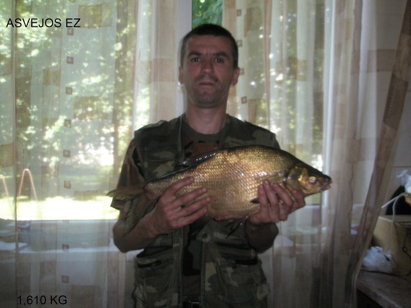 Carp bream, 3lb 8oz , cought at 07/11/2014 - information about the ...
