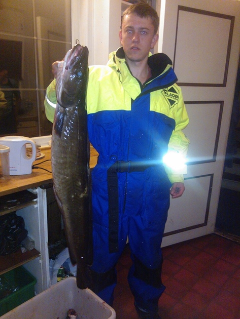 Common ling, 17lb 10oz - information about the catch | Pinfishing.com