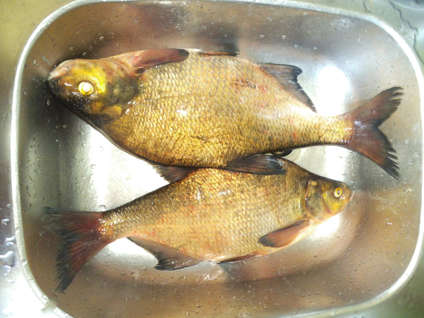 Carp bream, 3lb 4oz , cought at 08/07/2015 - information about the ...