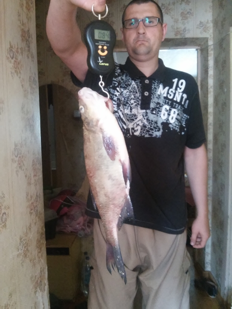 Carp bream, 1lb 13oz , cought at 08/22/2015 - information about the ...