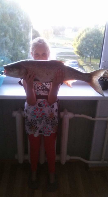 Asp, 6lb 9oz , cought at 09/09/2015 - information about the catch ...