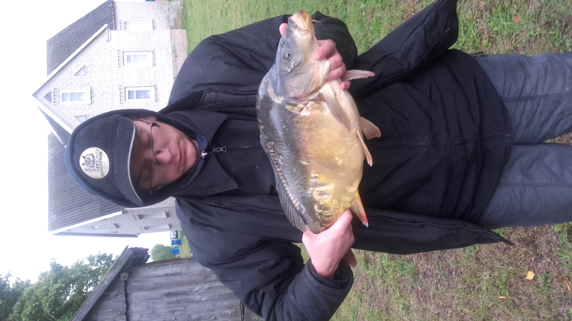 Carp, 9lb 14oz , cought at 09/06/2015 - information about the catch ...