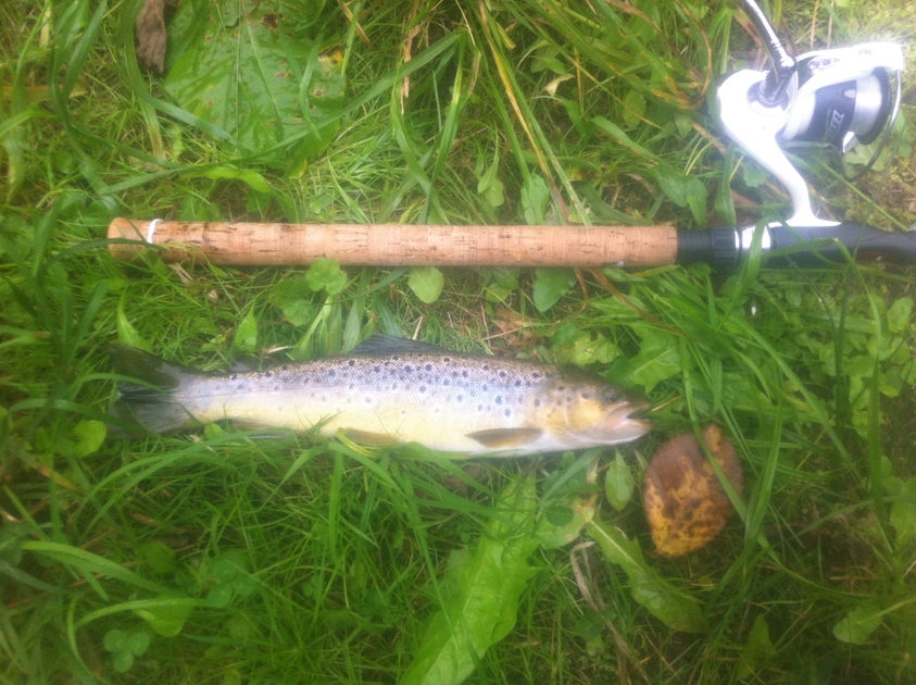 Margasis upėtakis, 1ft , cought at 09/20/2015 - information about the ...
