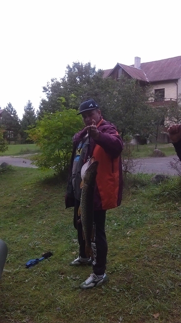 Northern Pike, 2lb 6oz - information about the catch | Pinfishing.com