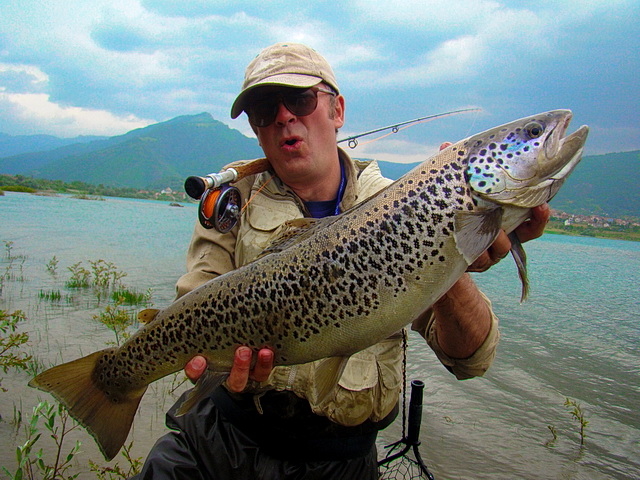 Brown Trout, 10lb, 2ft 6in , cought at 06/25/2014 - information about ...