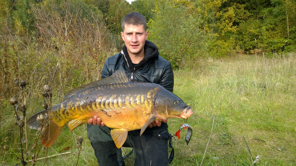 Carp, 23lb 2oz , cought at 10/13/2015 - information about the catch ...