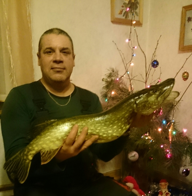 Northern Pike, 7lb 14oz, 2ft 7in , cought at 12/26/2015 - information ...