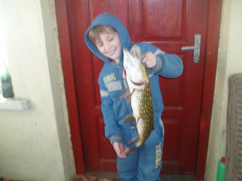 Northern Pike, 4lb 6oz , cought at 10/09/2015 - information about the ...