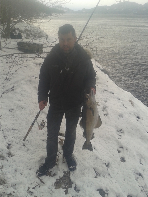 Unknown, 11lb 3oz , cought at 01/10/2016 - information about the catch ...