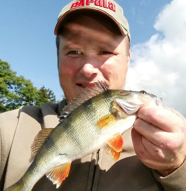 Eurasian perch, 10(1/2)in , cought at 09/10/2015 - information about ...