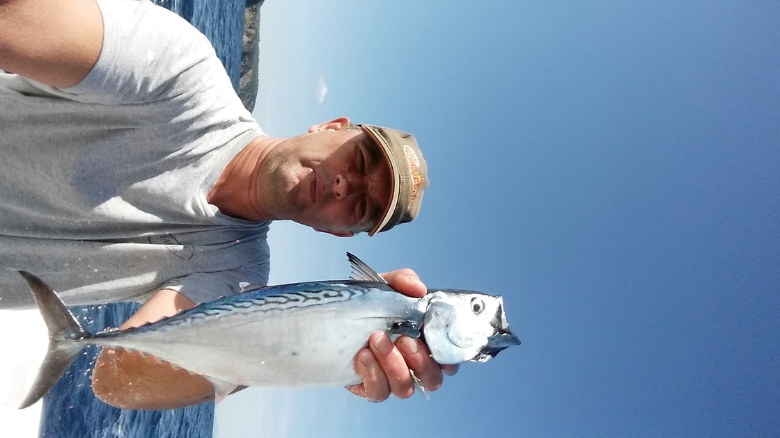 Graceful Priapella, 2lb 3oz , cought at 09/26/2015 - information about ...