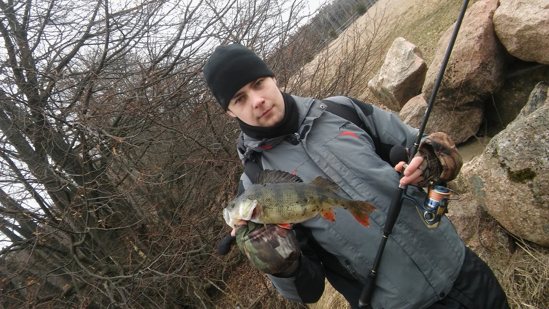 Eurasian perch, 1lb 8oz , cought at 03/20/2016 - information about the ...