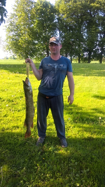 Northern Pike, 13lb 7oz, 3ft 3(1/2)in , cought at 05/22/2016 ...
