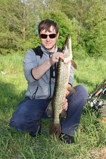 Northern Pike, 7lb 4oz, 2ft 7in - information about the catch ...