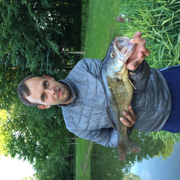 Pike perch, 6lb 9oz , cought at 06/06/2016 - information about the ...